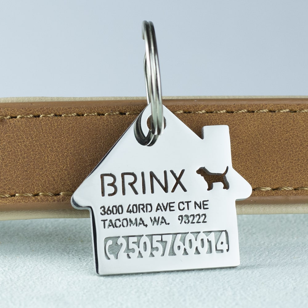 Home Dog ID Tag - Taglec