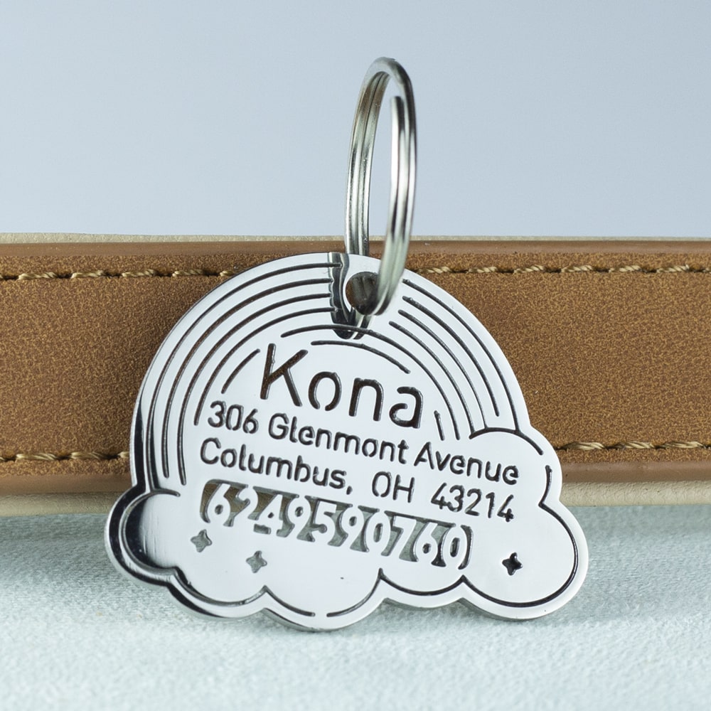 Rainbow Dog ID Tag: Brighten Up Your Pet's Collar | Taglec
