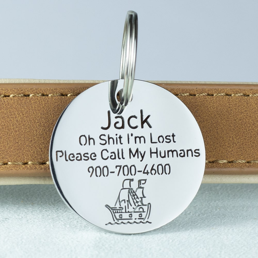 Balloon Icon Round Dog ID Tag: Uplifting Designs for Your Pet’s ID - Taglec