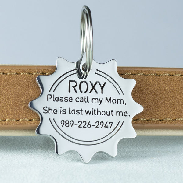 Forecast Friends Dog ID Tags: Weather-Themed ID Tags for Pets - Taglec