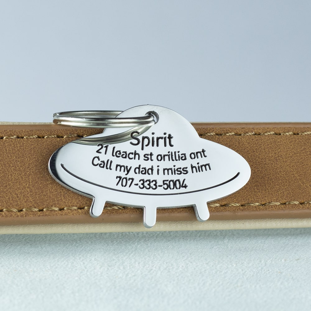 Unique UFO Dog Dog ID Tag: Out-of-This-World Style for Your Pet - Taglec