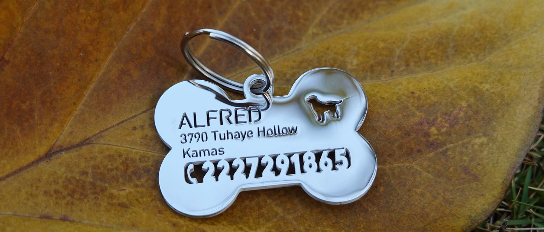 Custom Pet ID Tags | TAGLEC - Style & Safety for Your Pet
