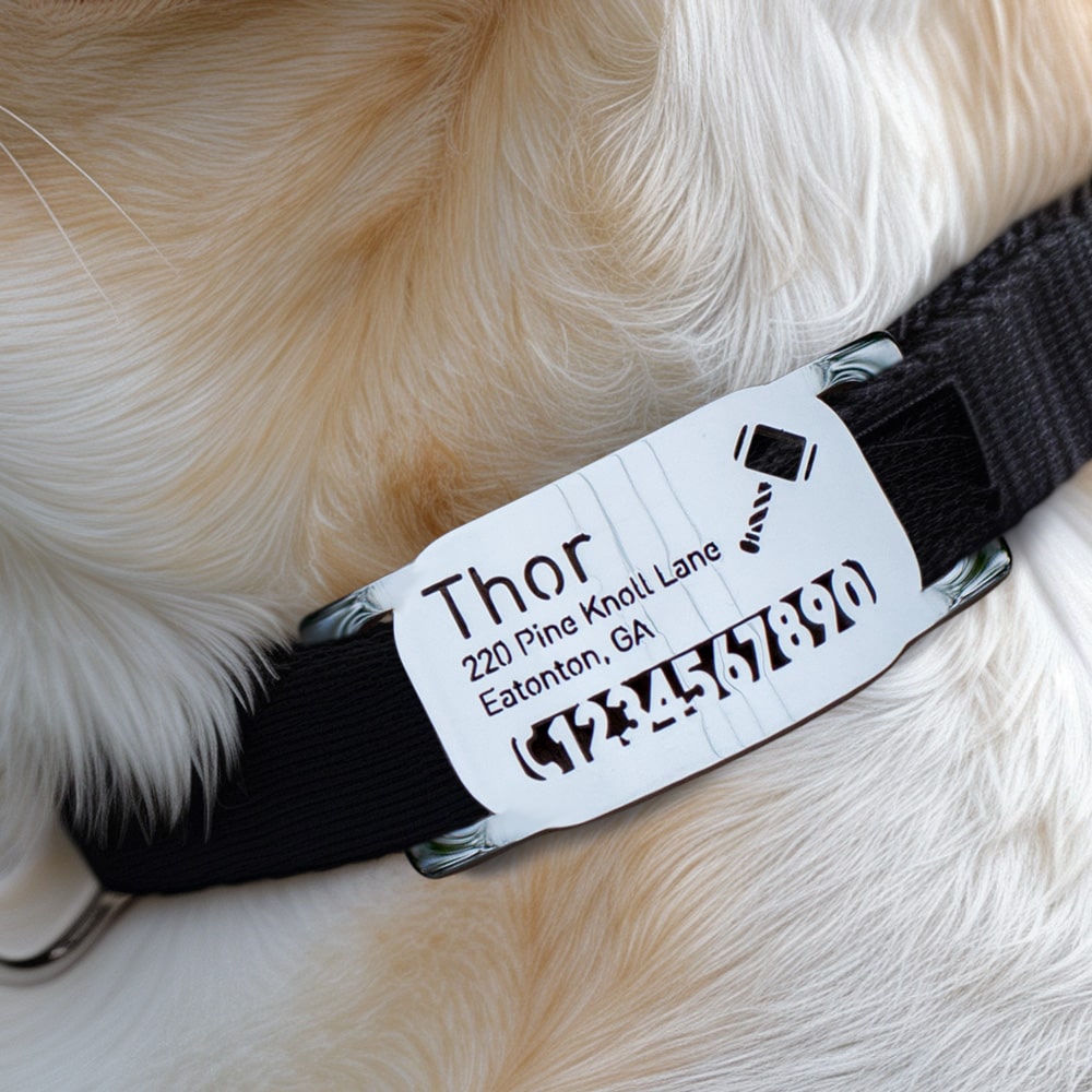 Rectangle Silent Slide On Hollow-carved Dog ID Tag - Elegantly Silent ...