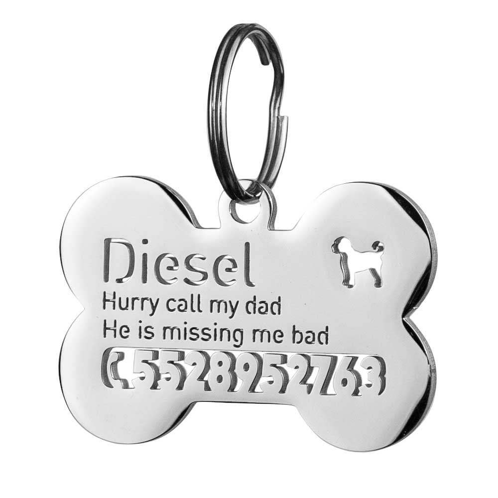 Custom Pet ID Tags | TAGLEC - Style & Safety for Your Pet